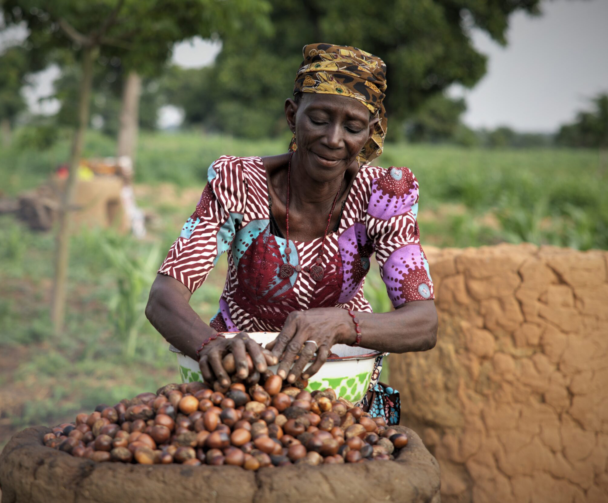 Shea Nigeria – Welcome to our official website